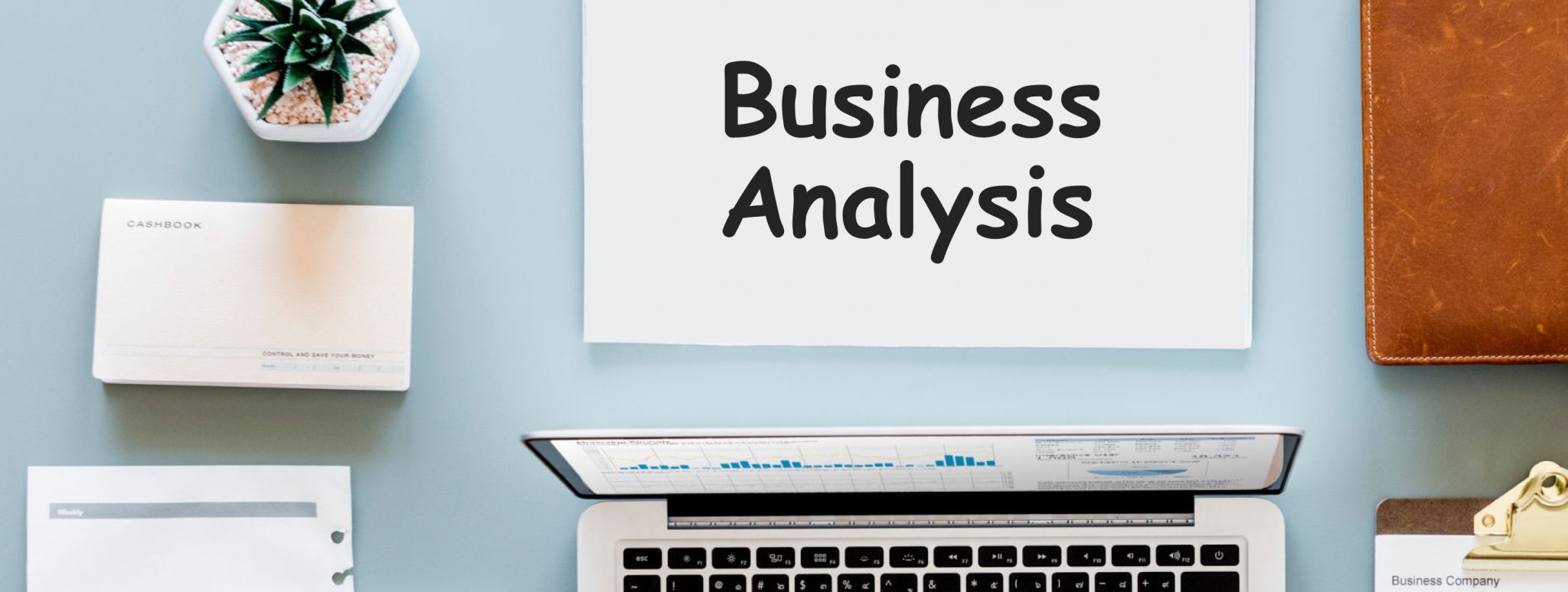 Who is a business analyst and what does he do?